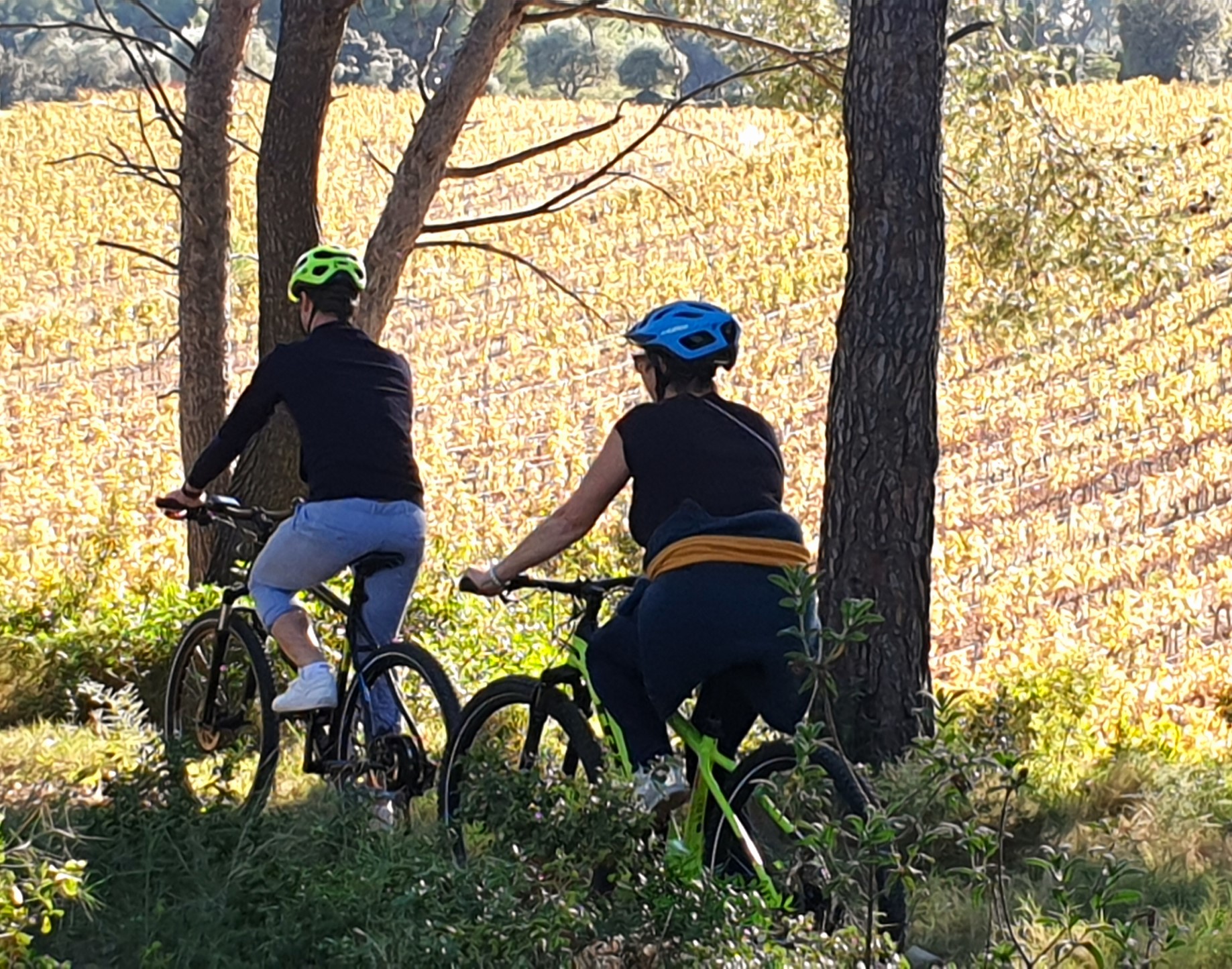 Location vélo, VTT électrique - Randonnées vélo dans le Var